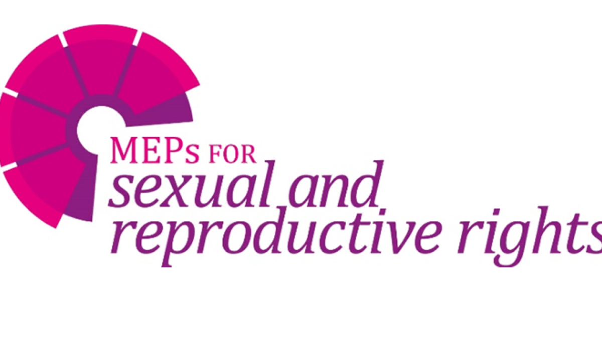 MEPs for SRR addressed the National Council of the Slovak Republic | EPF